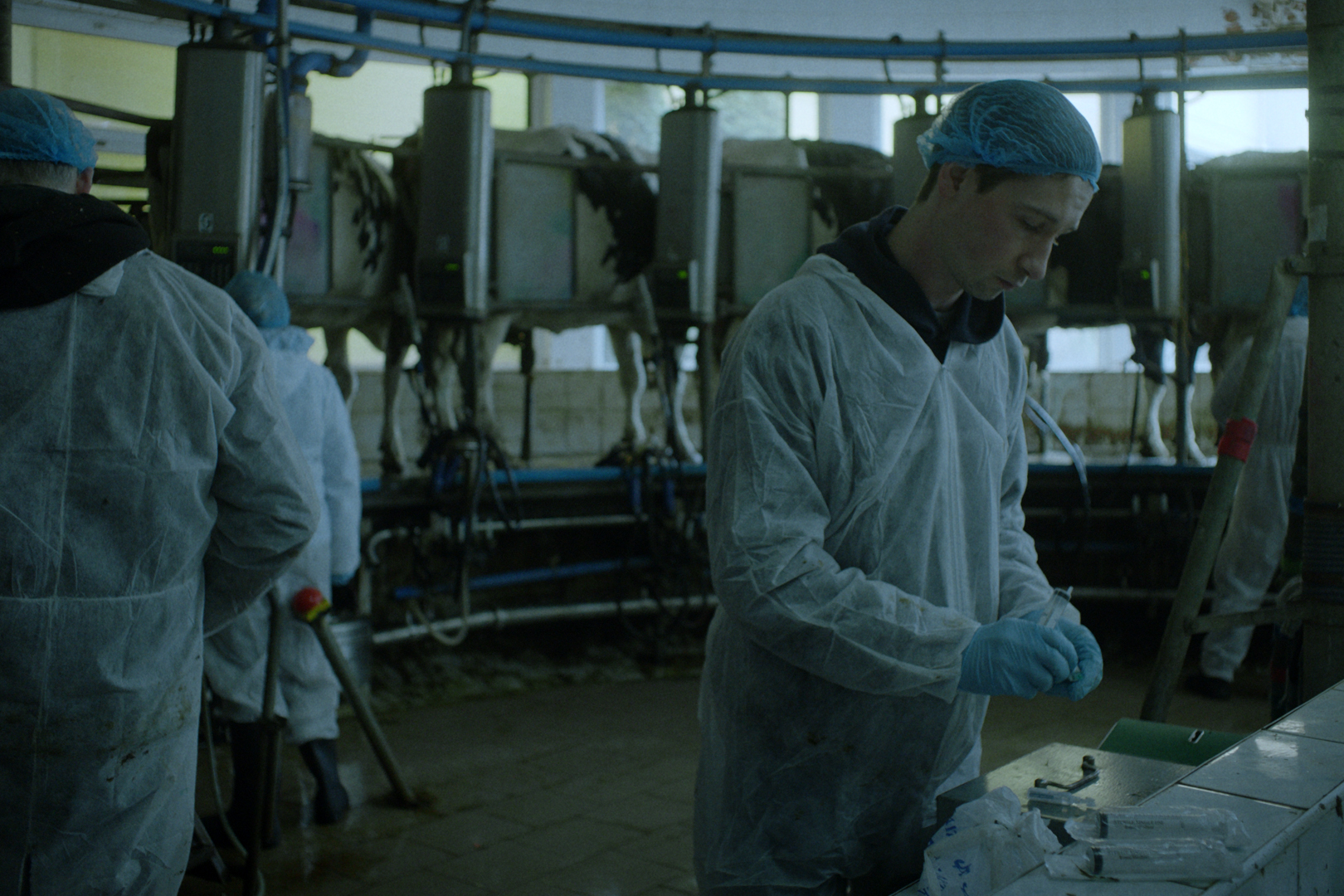 Samogłów - Festiwal Polskich Filmów Fabularnych